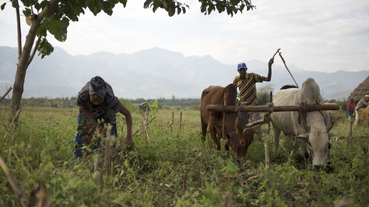 A Lifted Burden - Tearfund Canada