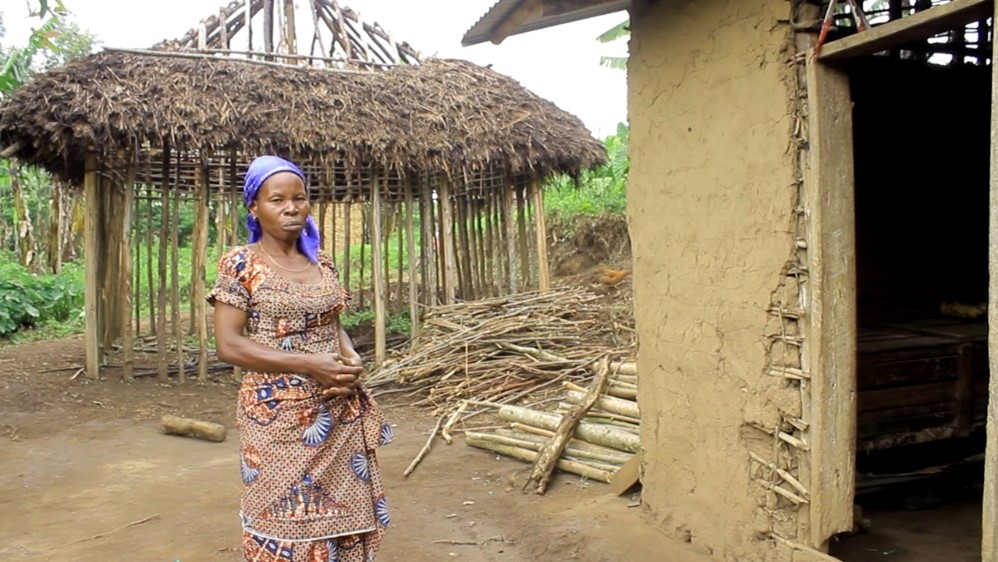 Hope for the Harvest