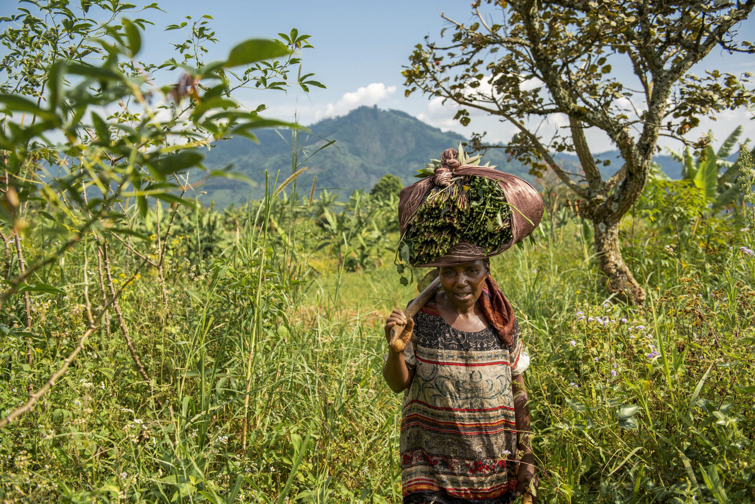 A filled stomach and a filled spirit