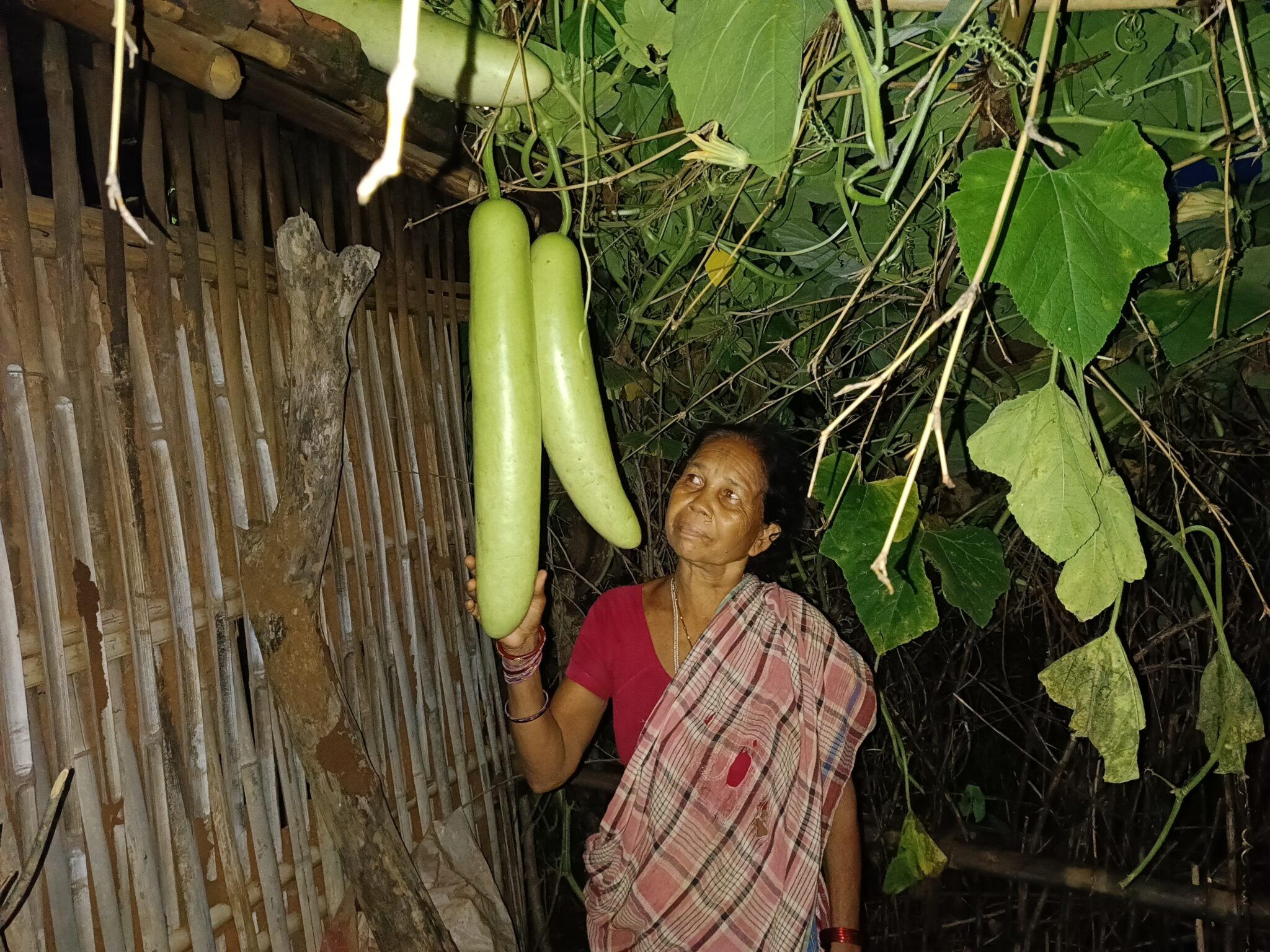 A rice-only diet starves the body and soul